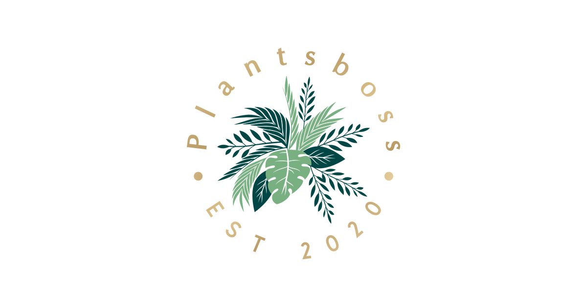 PlantsBoss